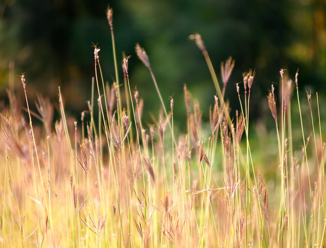 Little Roadway Farm Near Woolacombe Picture Gallery